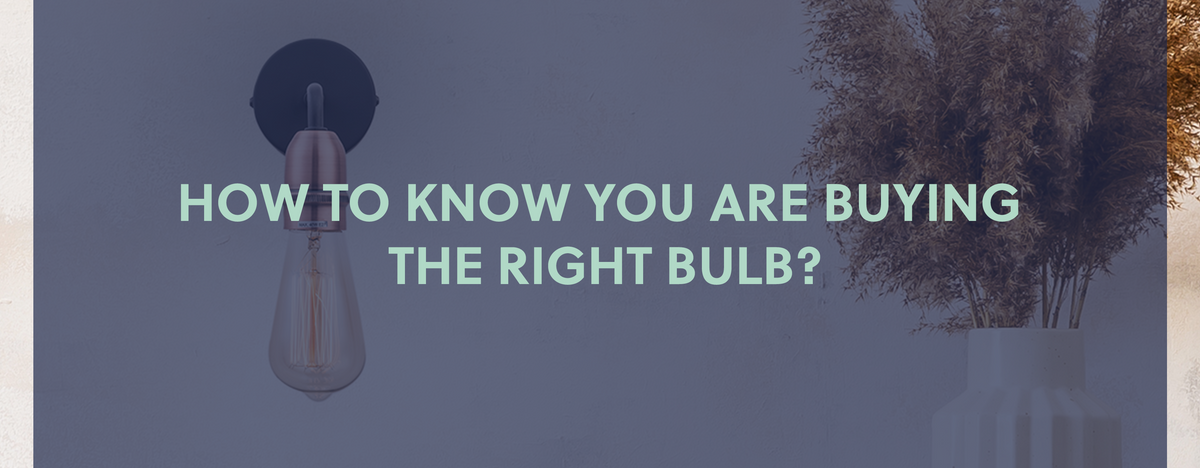 How To Know You Are Buying The Right Bulb? – Harper Living